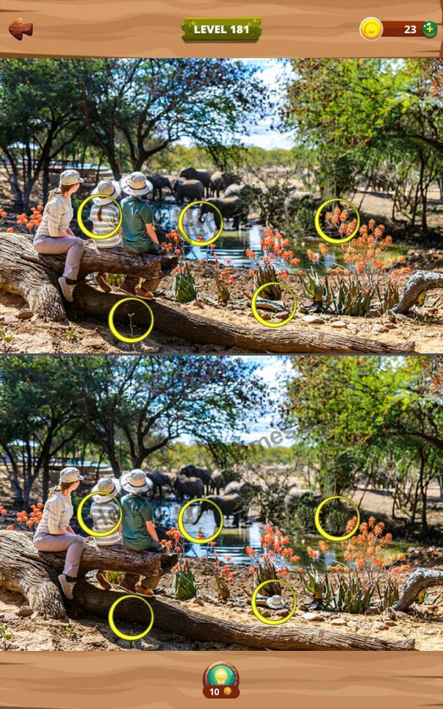 Find The Difference – Spot the Difference – Level 181 | HelpMeWithGames